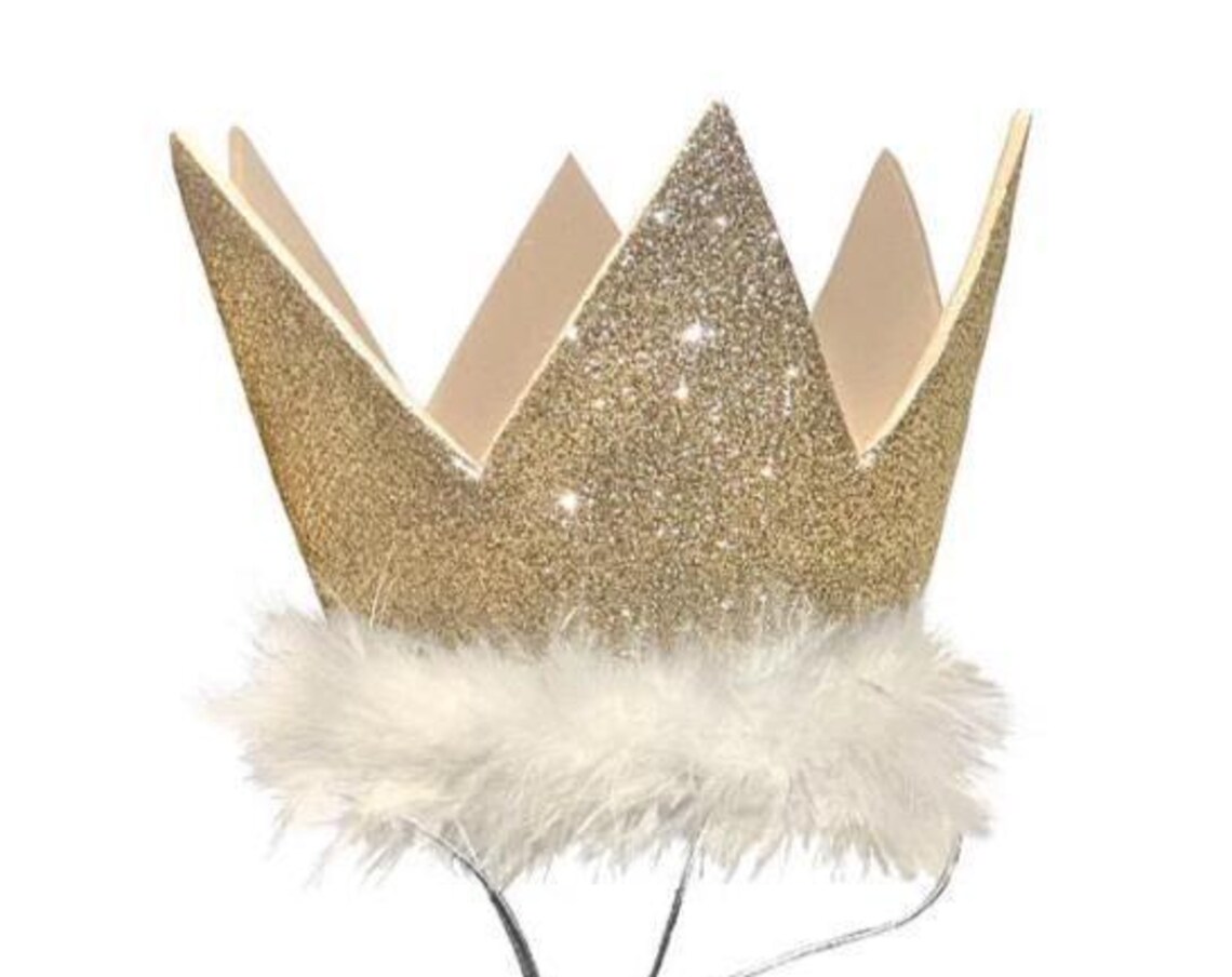 Small Pet Party Crown: Birthday Celebration Accessory - Etsy