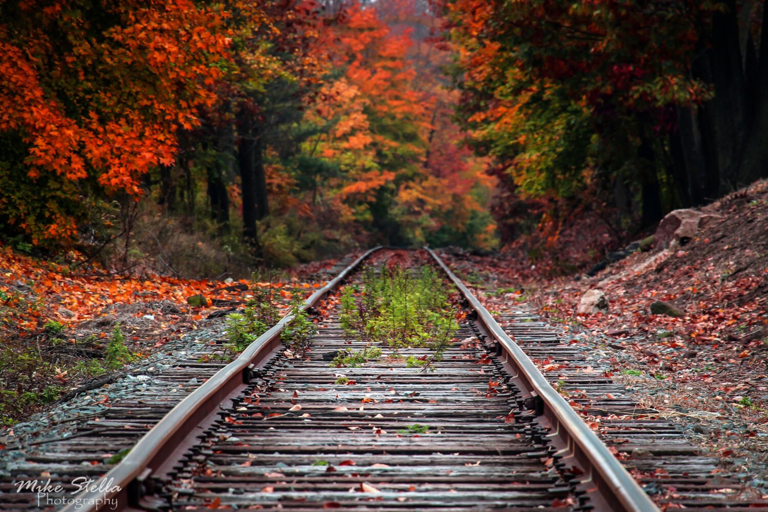 Fall Train Tracks Photography