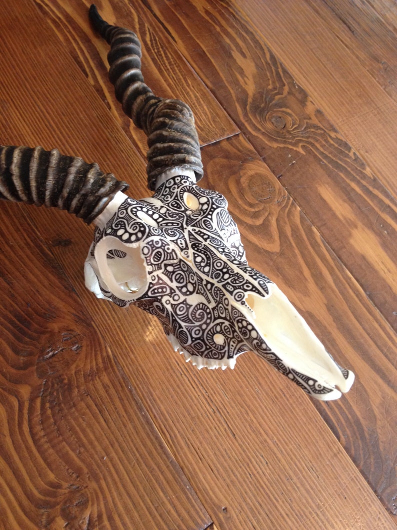 CUSTOM ORDER - Hand Inked Painted Blackbuck Antelope Skull Bone ...