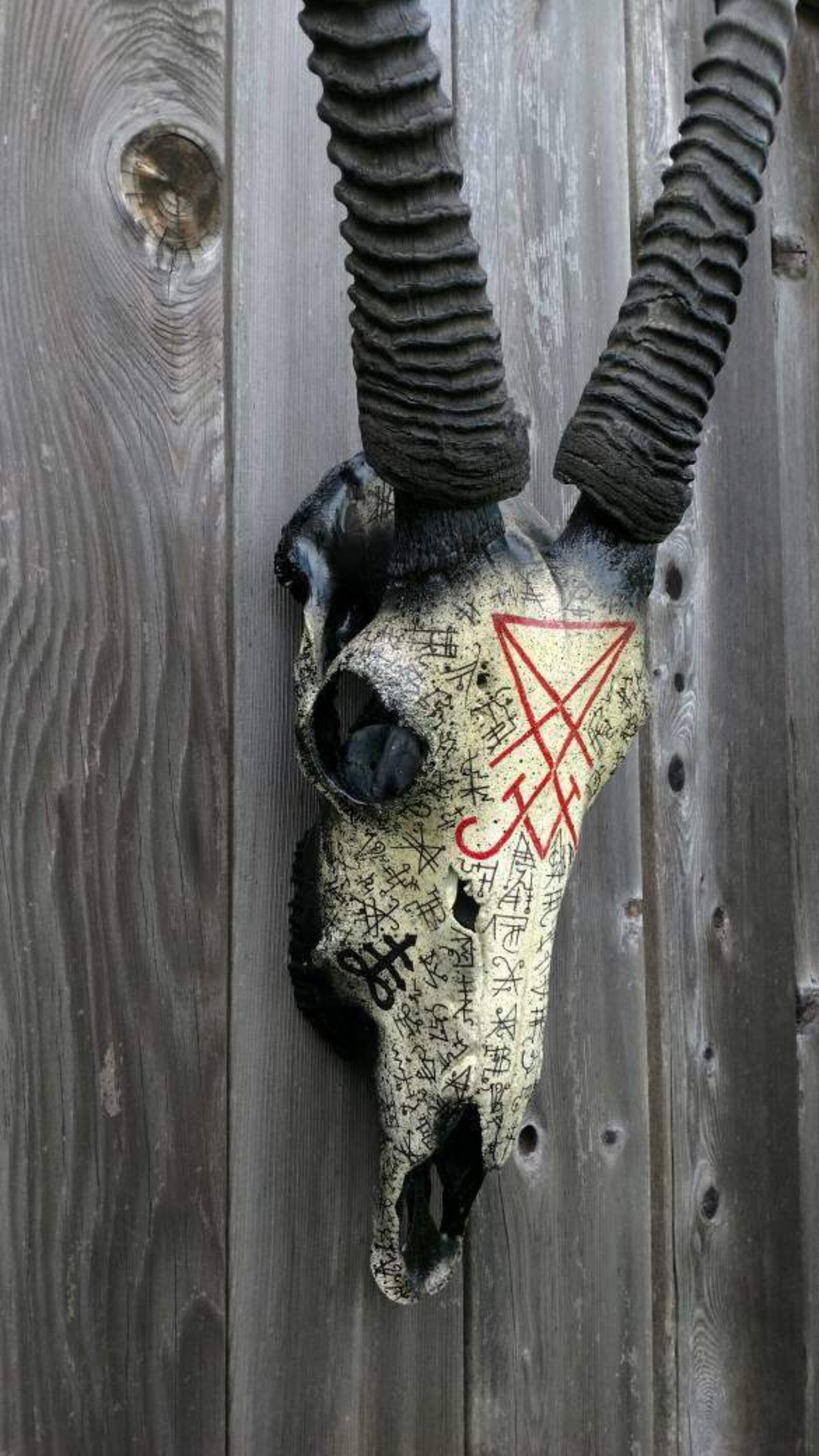 CUSTOM ORDER - Hand Inked Painted Occult Oryx Skull Bone Taxidermy - Etsy