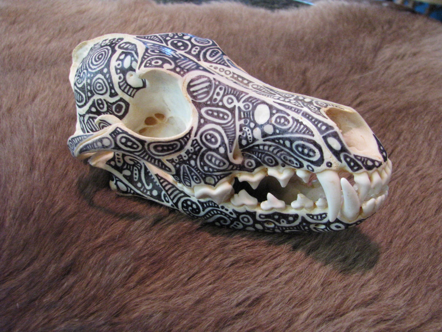 CUSTOM ORDER - Hand Inked Painted Coyote Skull Bone Taxidermy - Etsy