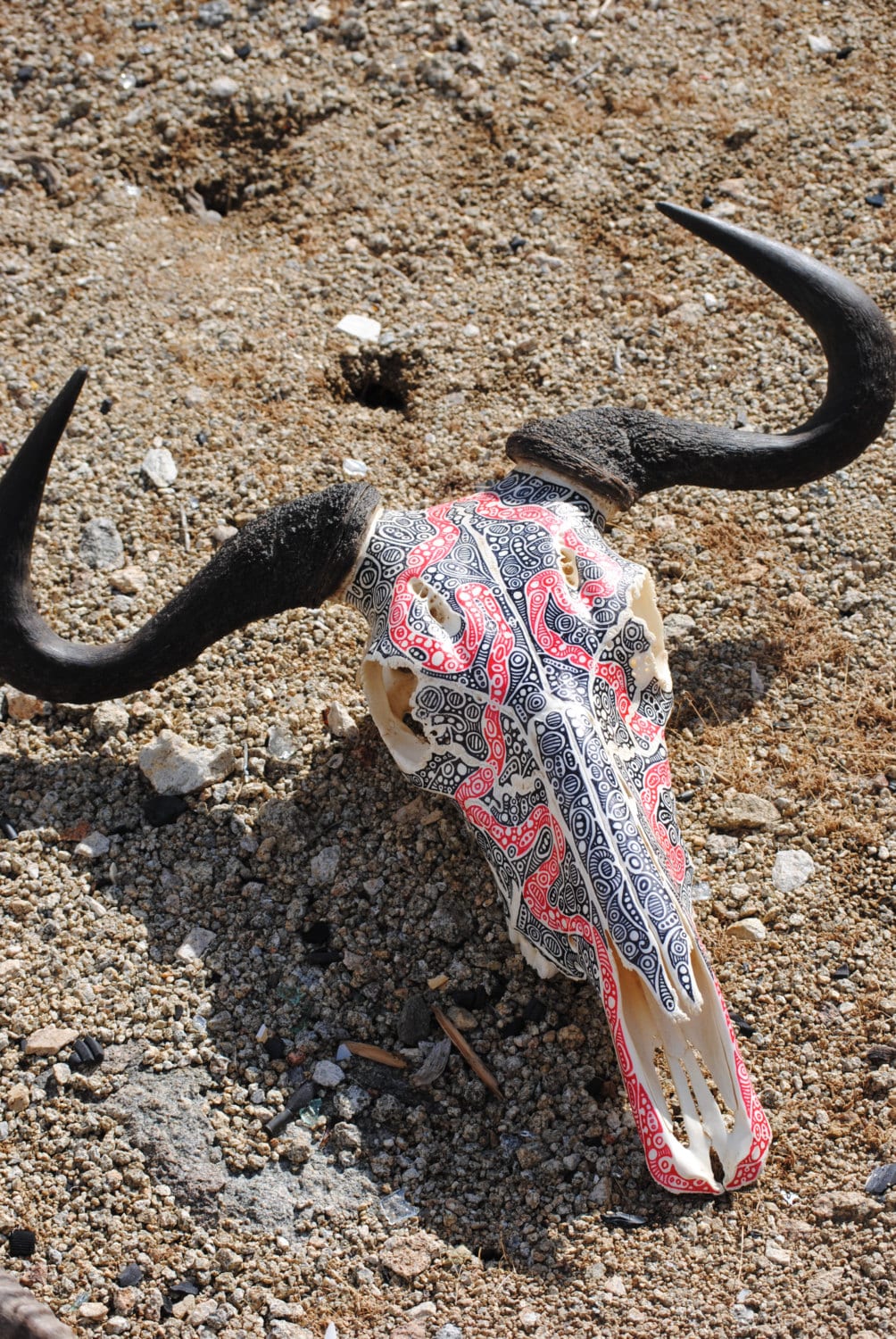 CUSTOM ORDER - Hand Inked Painted Blue Wildebeest Gnu Skull Bone ...