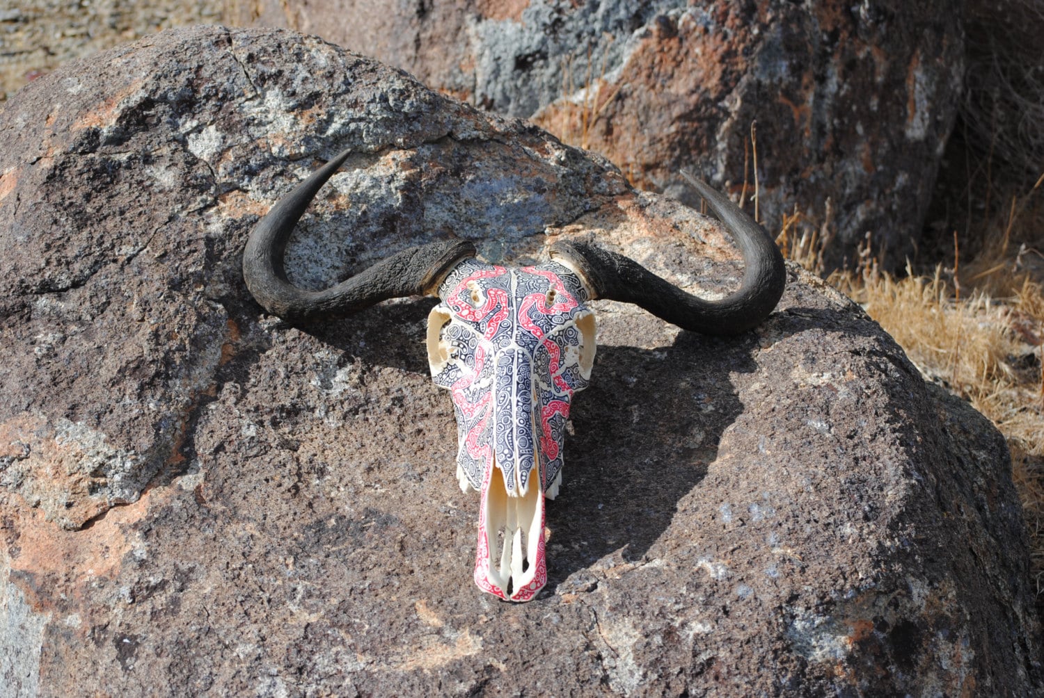 CUSTOM ORDER - Hand Inked Painted Blue Wildebeest Gnu Skull Bone ...