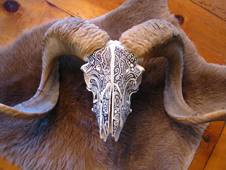 CUSTOM ORDER - Hand Inked Painted Rambouillet Sheep Ram Skull Bone ...