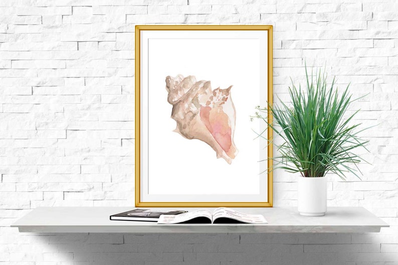 Sea Shell Print Watercolor Shell Printable Coral Wall Art - Etsy