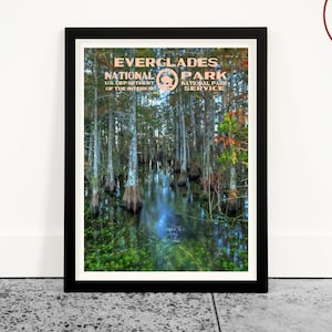Everglades National Park Poster, Everglades Wall Art, Florida Home ...