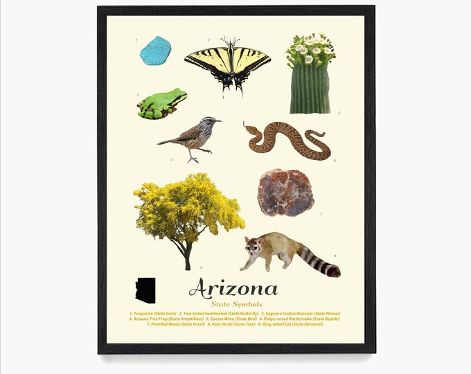 Arizona State Print, Illustration, State Symbols. - Etsy Singapore