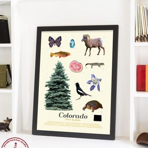 Colorado State Symbols Poster, Colorado Home Wall Art, Colorado Ecology ...
