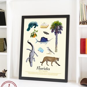 Florida State Symbols Poster, Florida Art, Florida Poster, Florida Wall ...