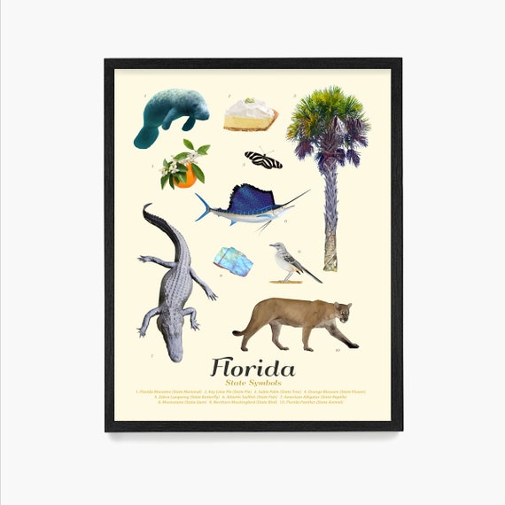 Florida State Symbols Poster Florida Art Florida Poster | Etsy