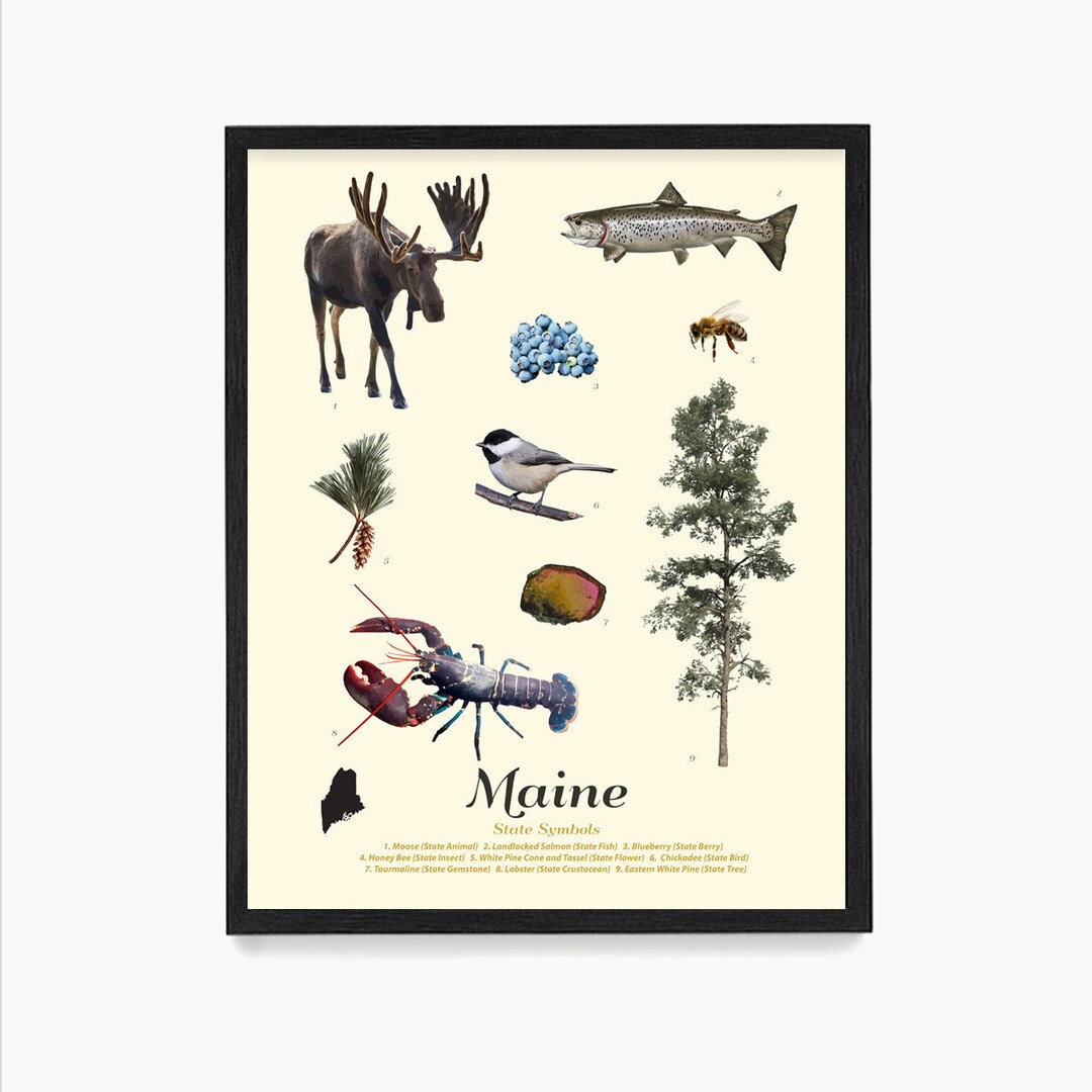 Cartel de los símbolos del estado de Maine, arte de la pared de Maine ...