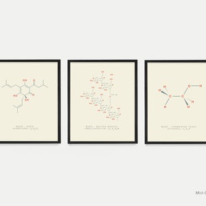 Beer Molecule Posters, the Chemistry of Beer, Hops Molecule, Barley ...