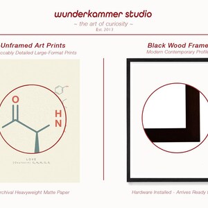 Beer Molecule Posters, the Chemistry of Beer, Hops Molecule, Barley ...