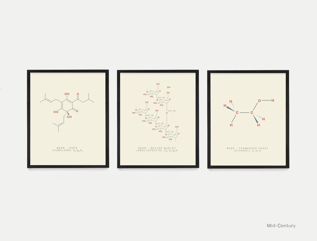 Beer Molecule Wall Art, the Chemistry of Beer, Hops Molecule, Barley ...