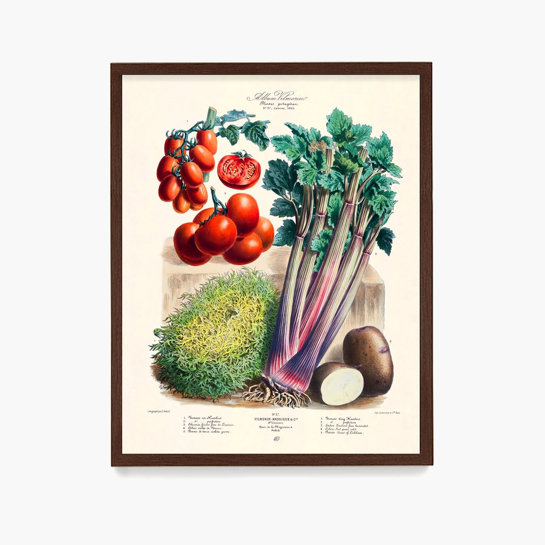 Vegetable Poster, Kitchen Decor, Food Wall Art, Cooking Decor, Kitchen ...