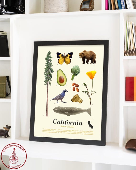 California State Symbols List