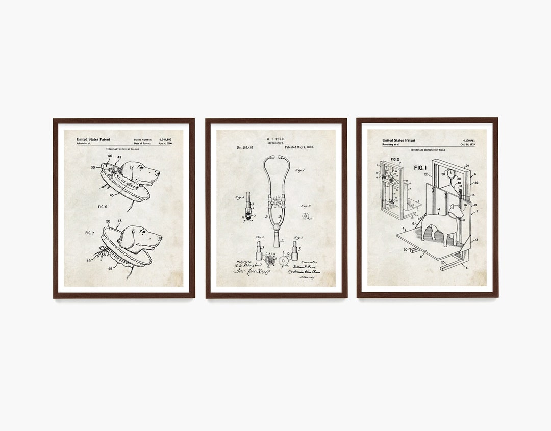 Veterinarian Patent Art Prints: Animal Clinic Decor, Set of 3 - Etsy