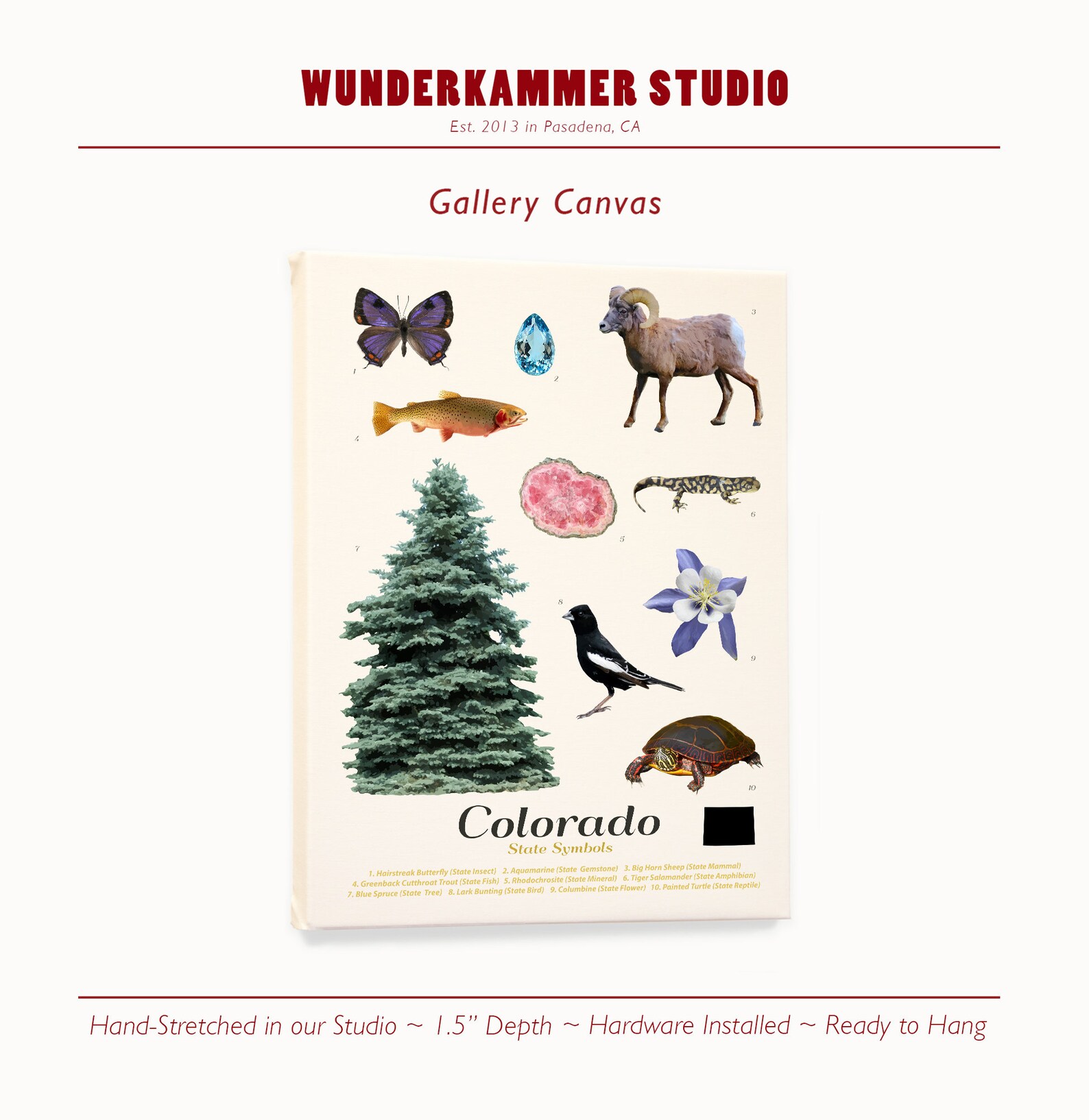 Colorado State Symbols Poster Colorado Art Colorado Poster | Etsy