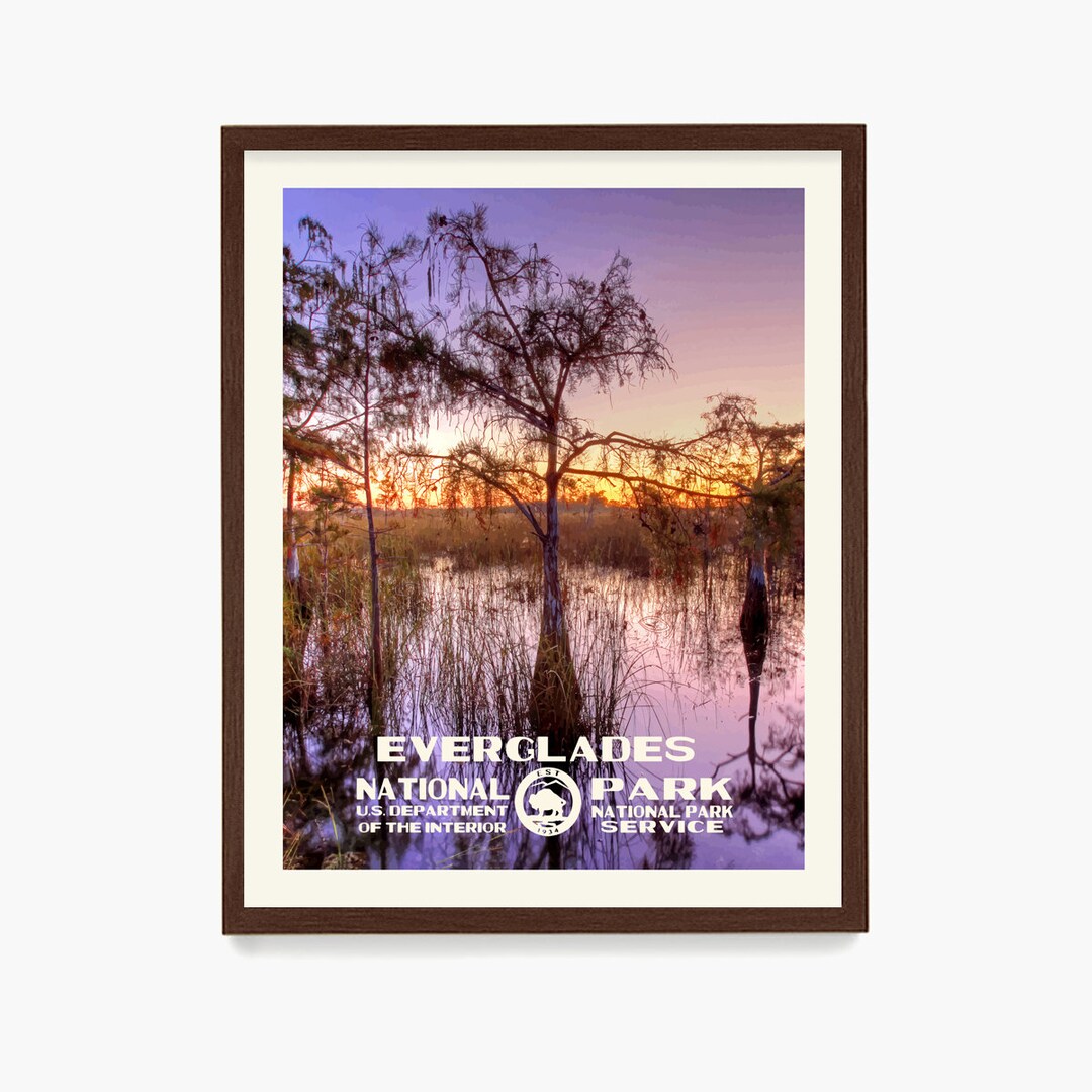 Everglades National Park Poster Everglades Poster Everglades Art ...