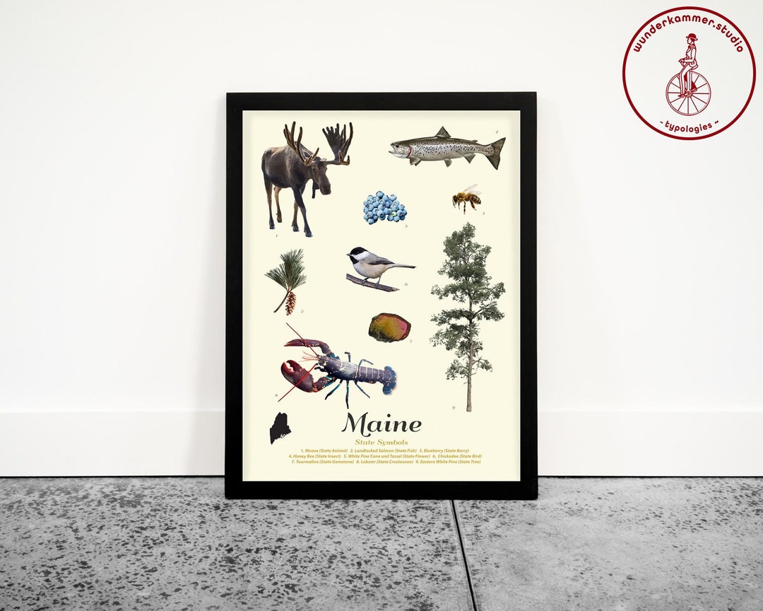 Maine State Symbols Art Poster, Maine Wall Art, Maine Home Decor ...