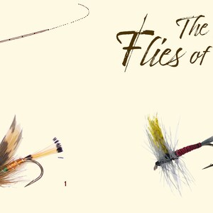 The Flies of Fly Fishing Poster, Fly Fishing Wall Art, Fisherman Gift ...