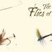 The Flies of Fly Fishing Poster, Fly Fishing Wall Art, Fisherman Gift ...
