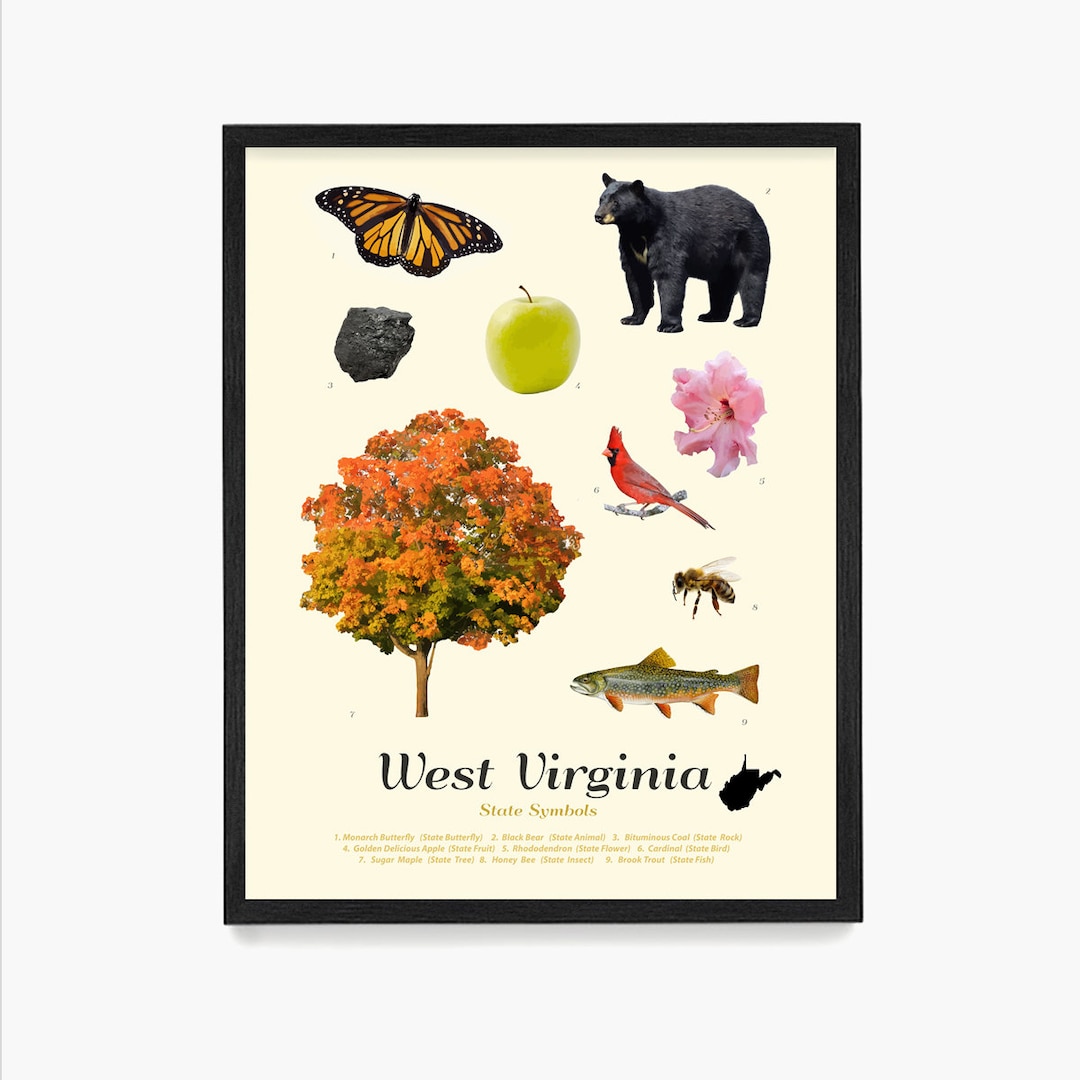 West Virginia State Symbols Poster, West Virginia Wall Art, West ...