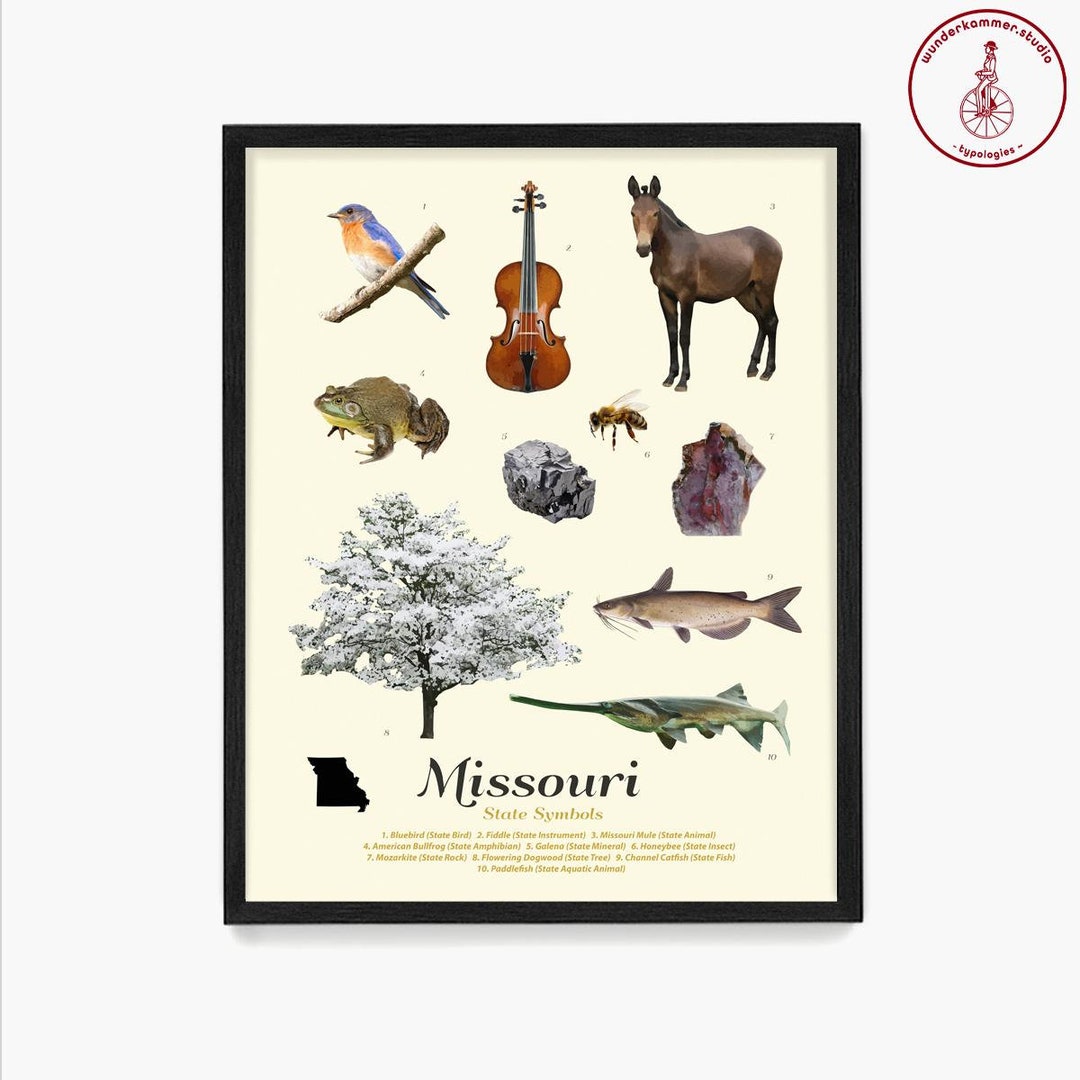 Missouri State Symbols Art Print: Typographic Wall Art - Etsy