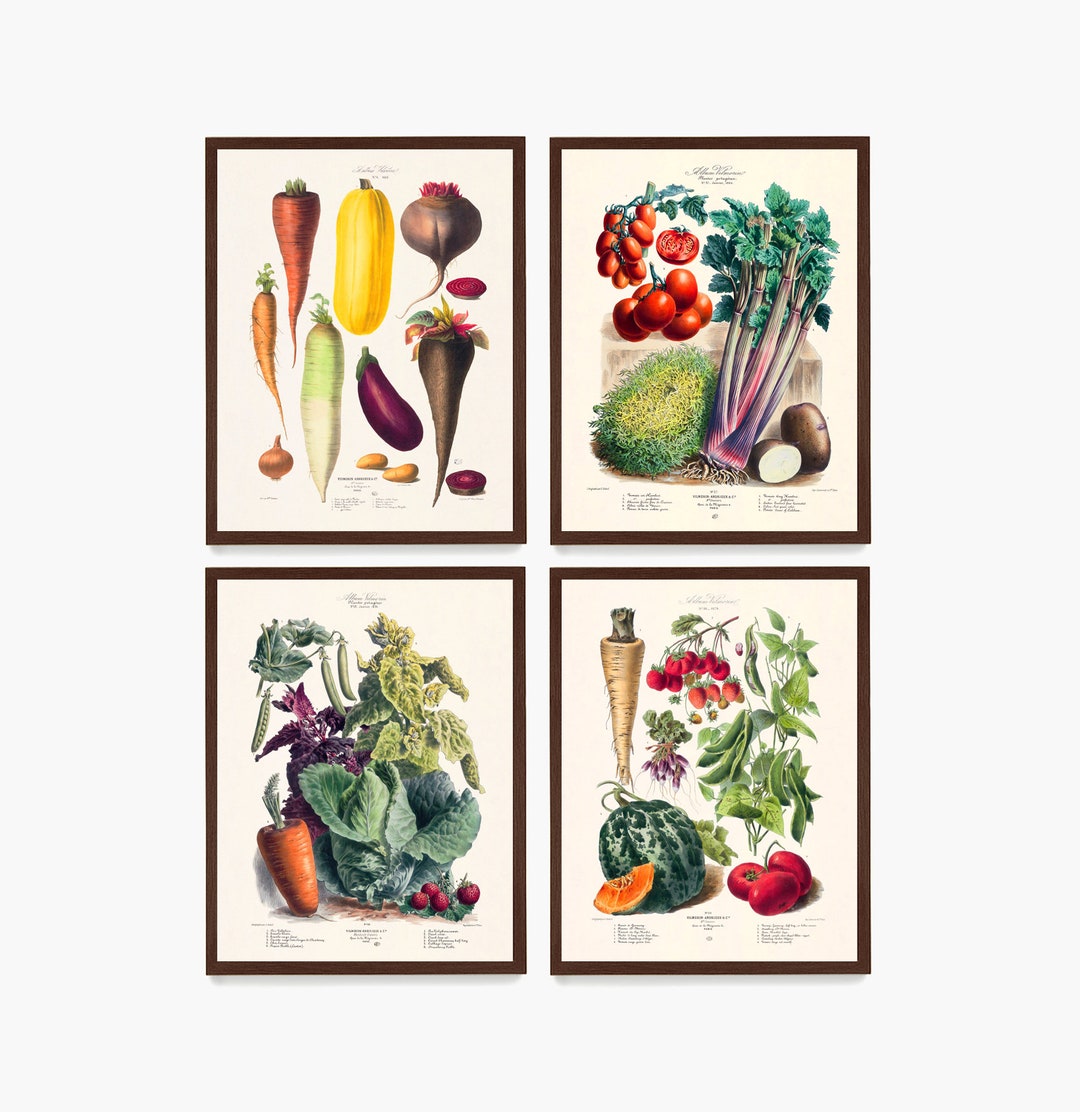 French Vegetable Poster Set: Vintage Kitchen Decor Prints - Etsy