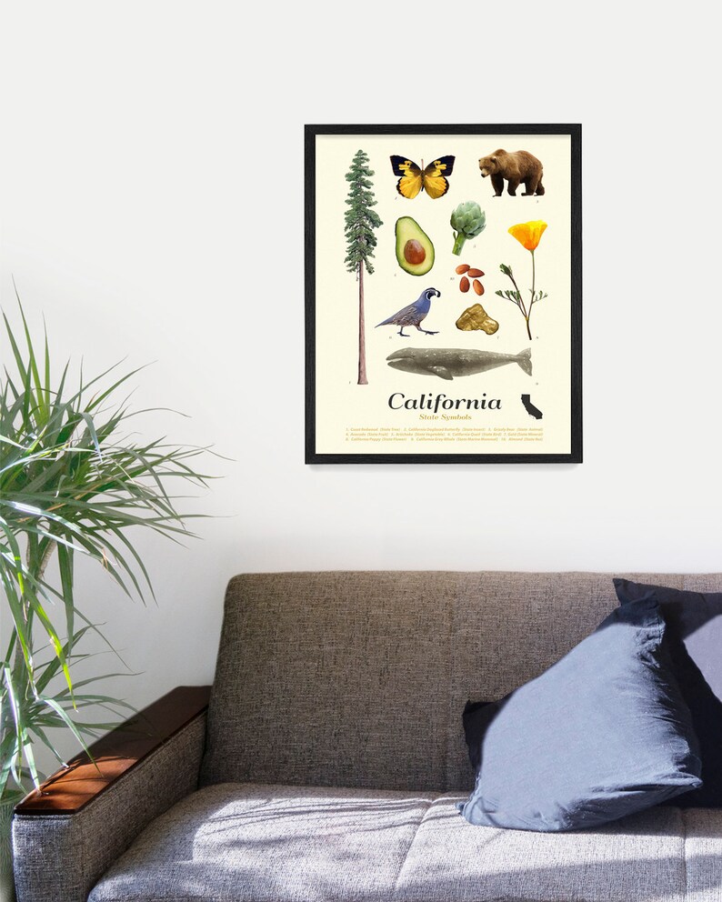 California State Symbols Art Print: Ecology & Heritage Wall Decor - Etsy