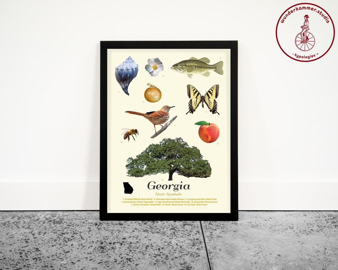 Georgia State Symbols Poster, Georgia Art, Georgia Poster, Georgia Wall ...