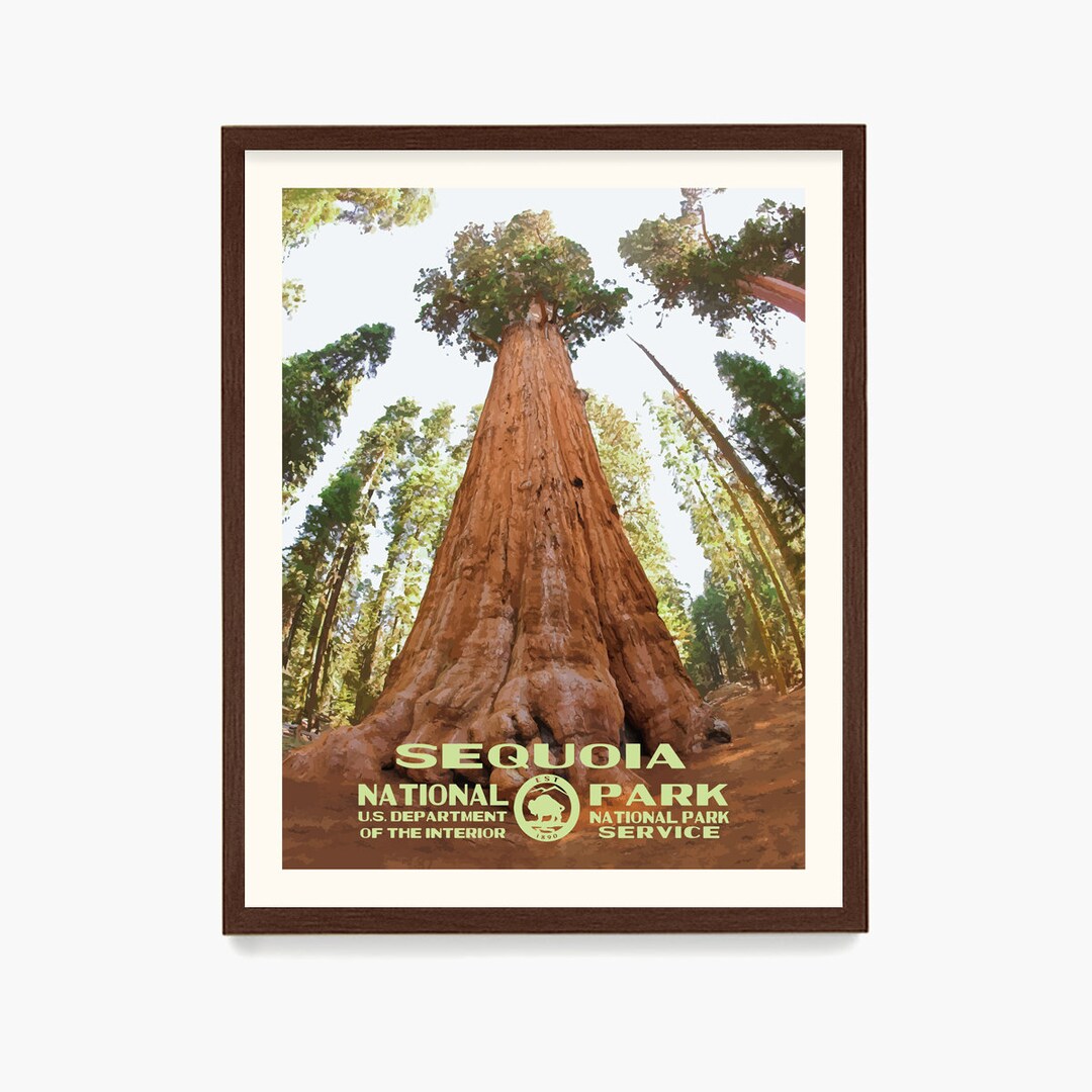 Sequoia National Park Poster, Sequoia Art, California Wall Art ...