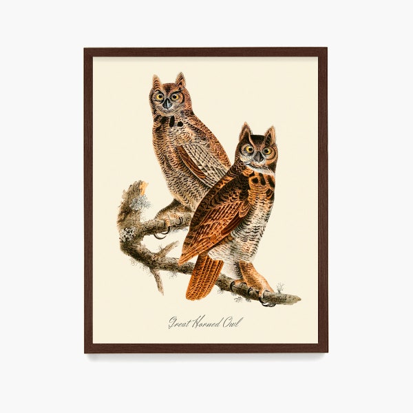 Audubon - Etsy