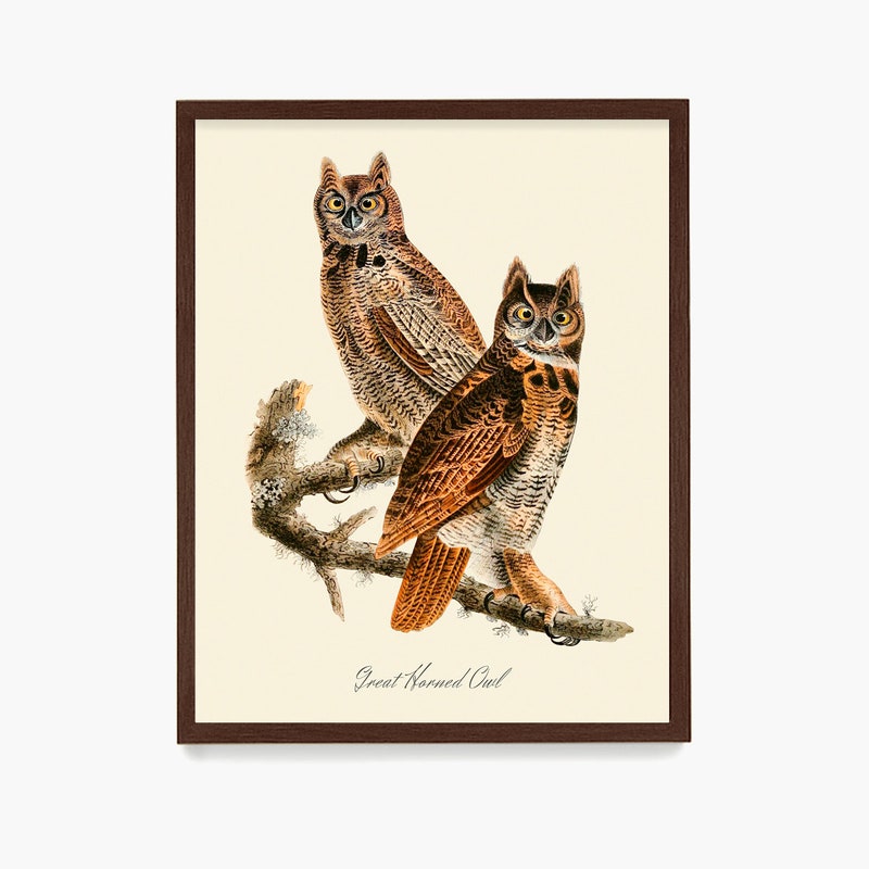 Owl Art - Etsy