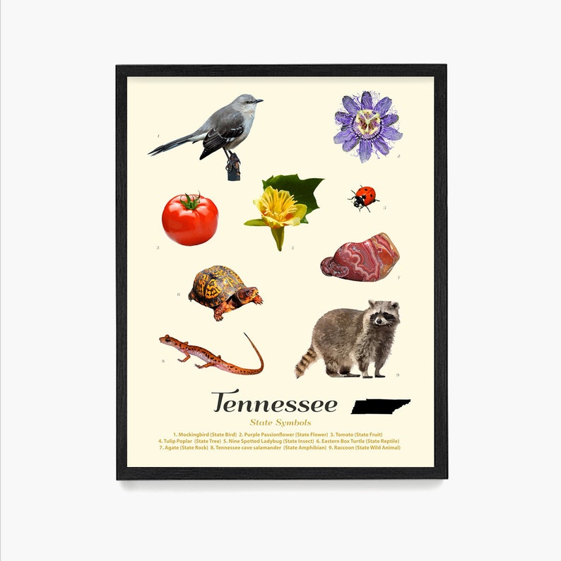 Tennessee State Symbols Poster Tennessee Wall Art Tennessee - Etsy