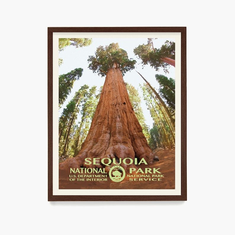 Sequoia National Park Poster Sequoia Art California Wall | Etsy