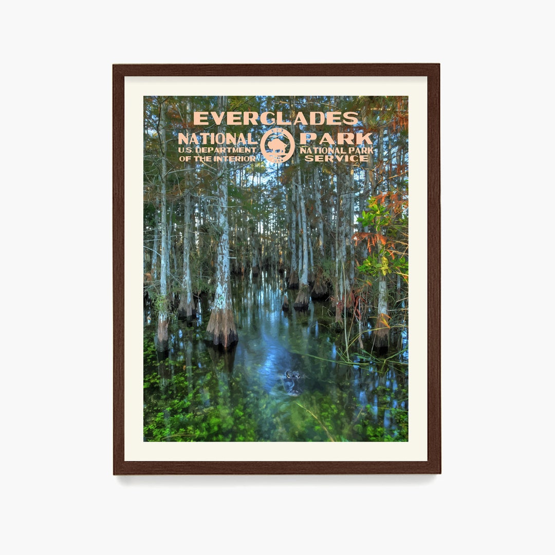 Everglades National Park Poster Everglades Poster Everglades Art ...