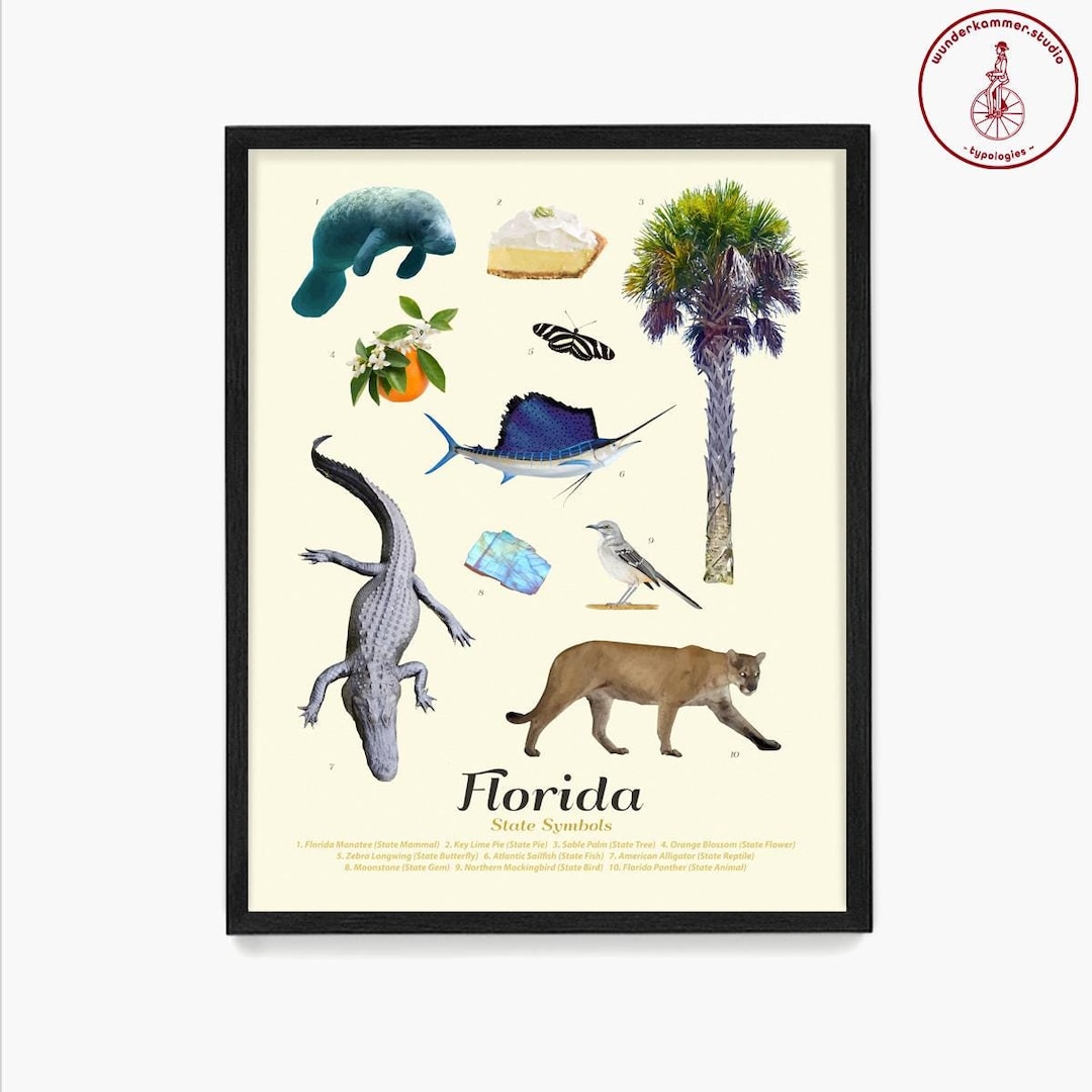 Florida State Symbols Poster, Florida Art, Florida Poster, Florida Wall ...