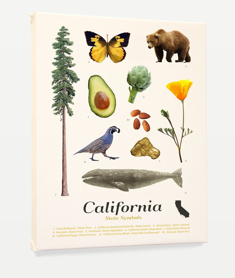 California State Symbols Poster California Art California - Etsy