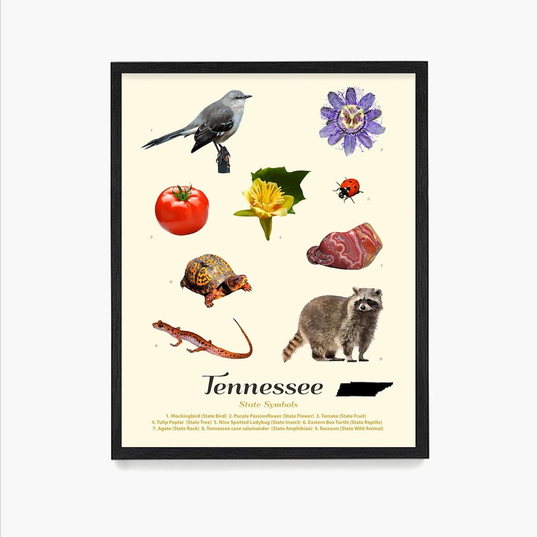 Tennessee State Symbols Art Print: Nashville Home Decor - Etsy