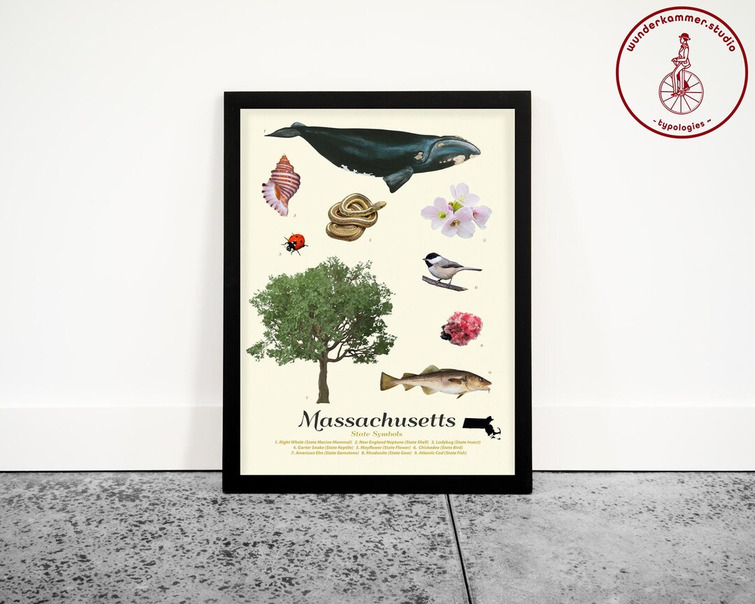 Massachusetts State Symbols Art Print: Typology Wall Art - Etsy