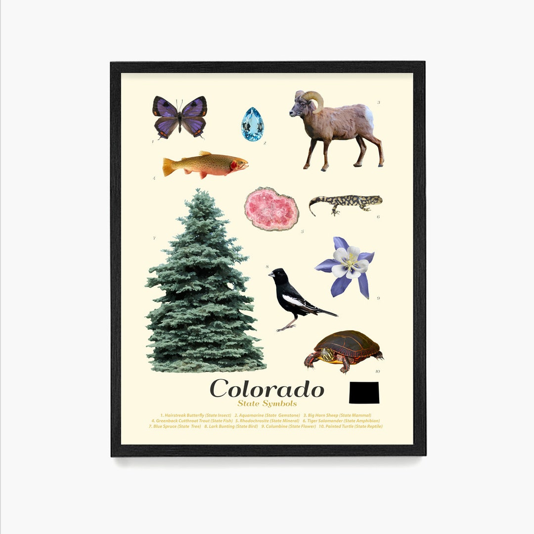 Colorado State Symbols Poster, Colorado Home Wall Art, Colorado Ecology ...