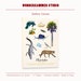 Florida State Symbols Poster, Florida Art, Florida Poster, Florida Wall ...