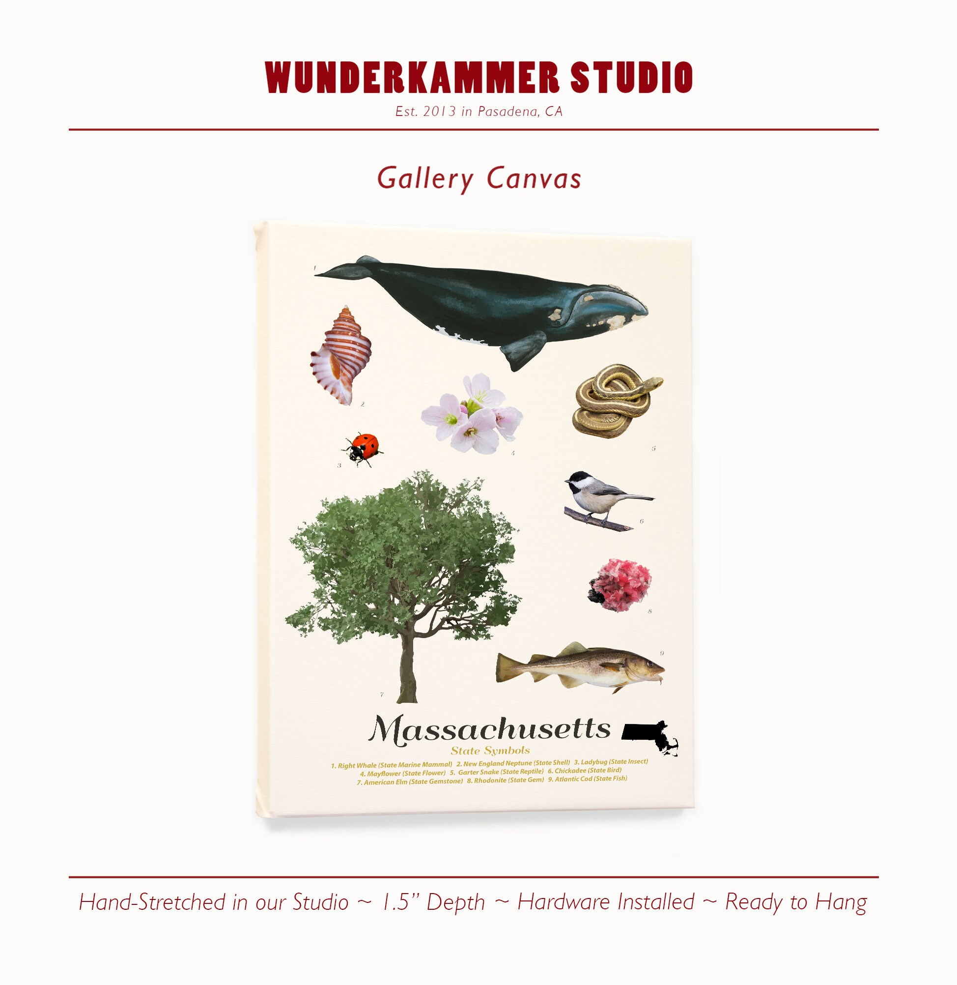 Massachusetts State Symbols Poster Massachusetts Wall Art - Etsy Australia