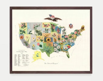 United States State Flower Map - Etsy