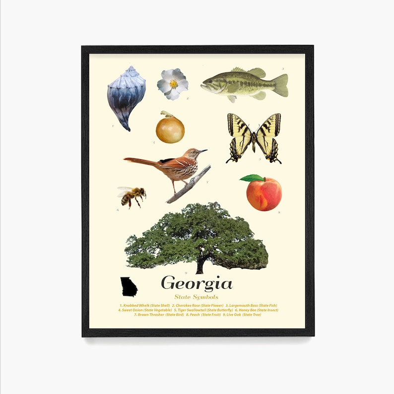 Georgia State Symbols Art Print: Typology Wall Decor - Etsy