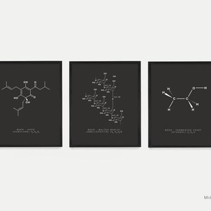 Beer Molecule Posters, the Chemistry of Beer, Hops Molecule, Barley ...