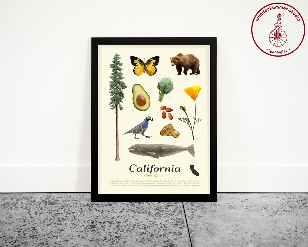 California State Symbols Poster, California Art, California Poster ...