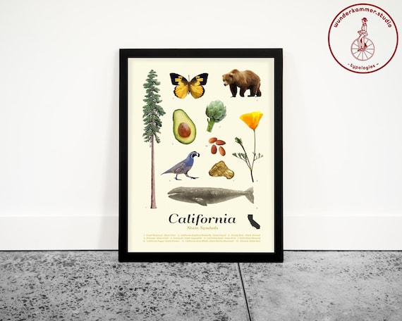 California State Symbols Illustrated Hand Drawn State Symbols Of