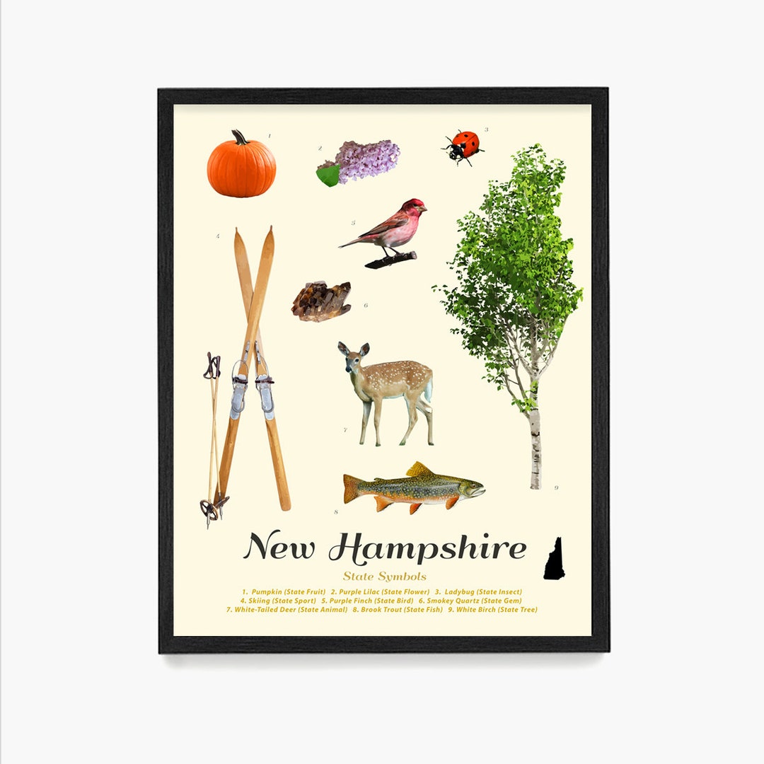 New Hampshire State Symbols Poster, New Hampshire Wall Art, New ...